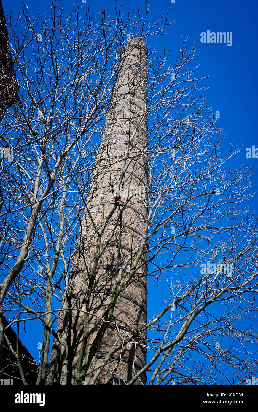 old factory chimney and tree without leaves on a blue sky Stock Photo ...