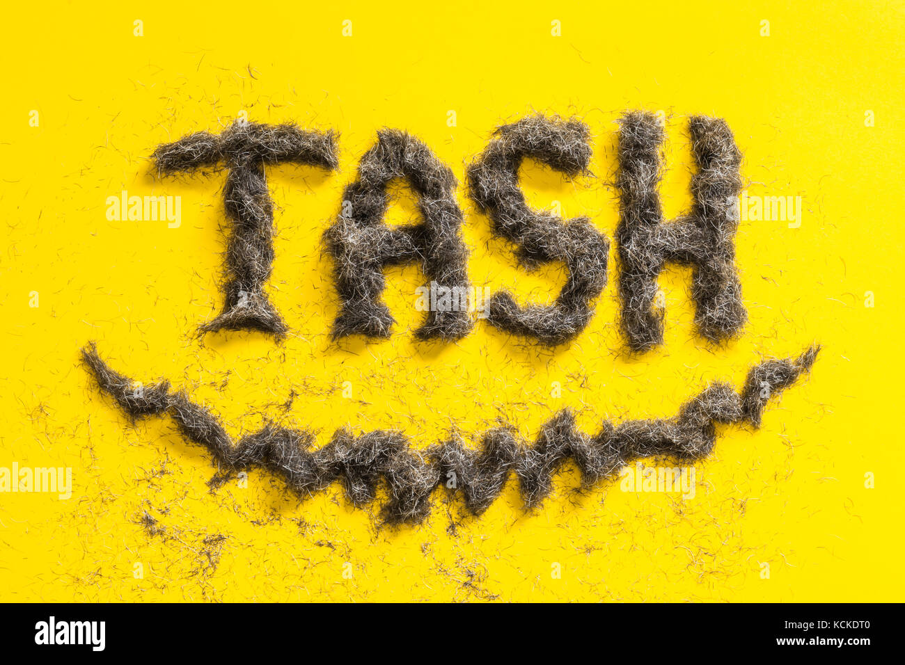 Tash word sign made from real mens beard trimmings on a yellow ...