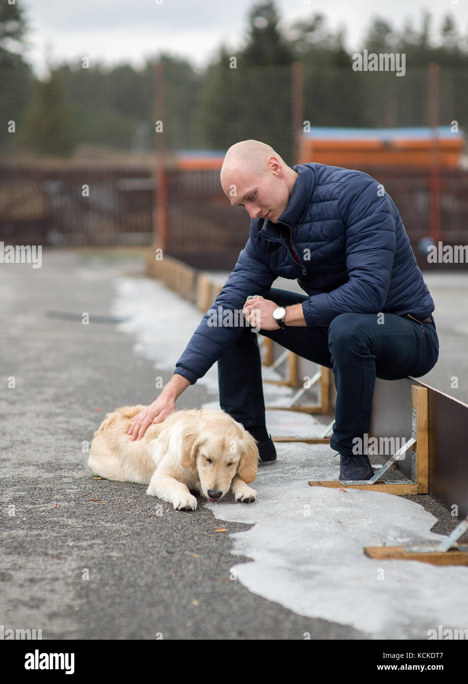 Golden Retriever dog and man Stock Photo - Alamy