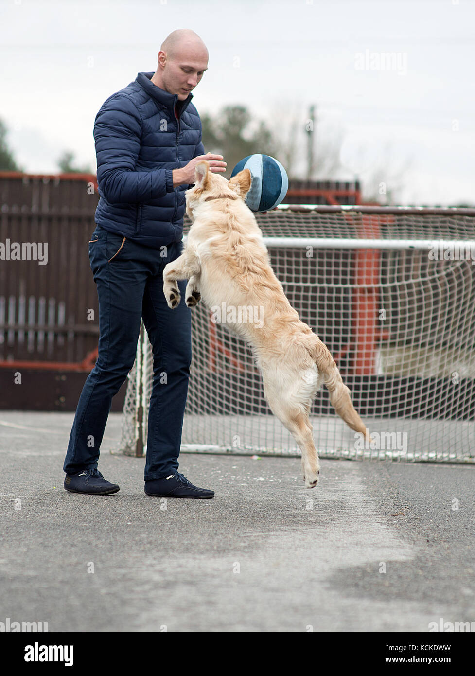 Golden Retriever dog and man Stock Photo - Alamy