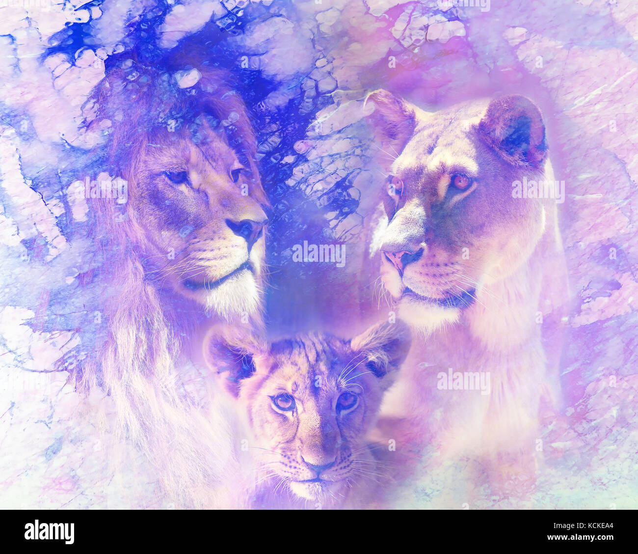 Lion family - lion, lioness and lion cub, on abstract structured ...