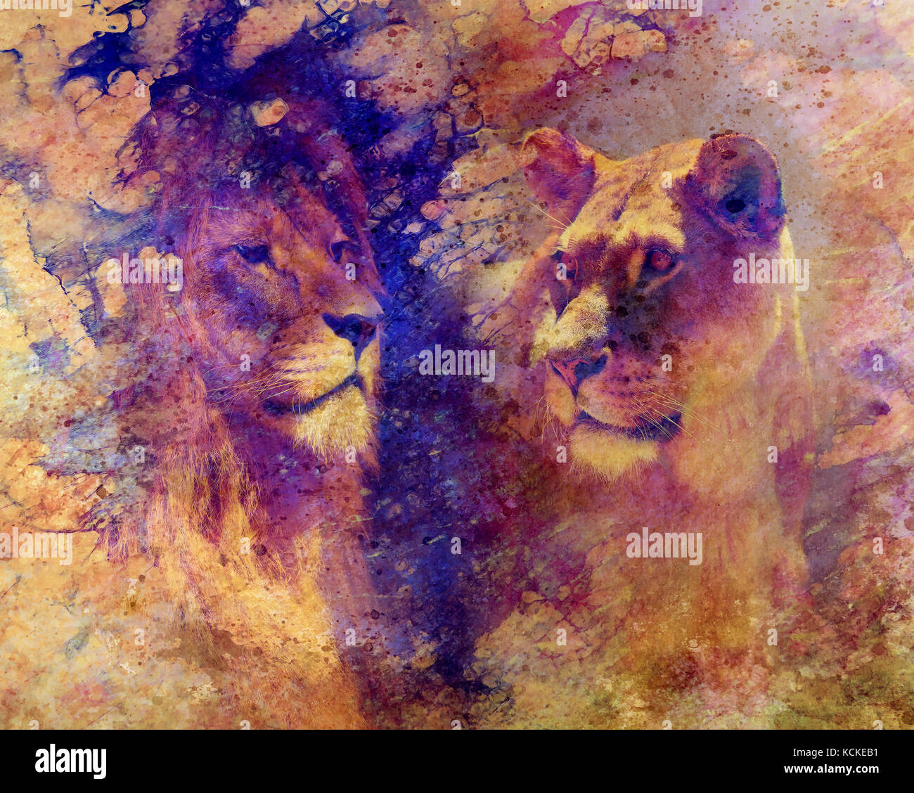 Lion couple - lion and lioness, on abstract structured background Stock ...