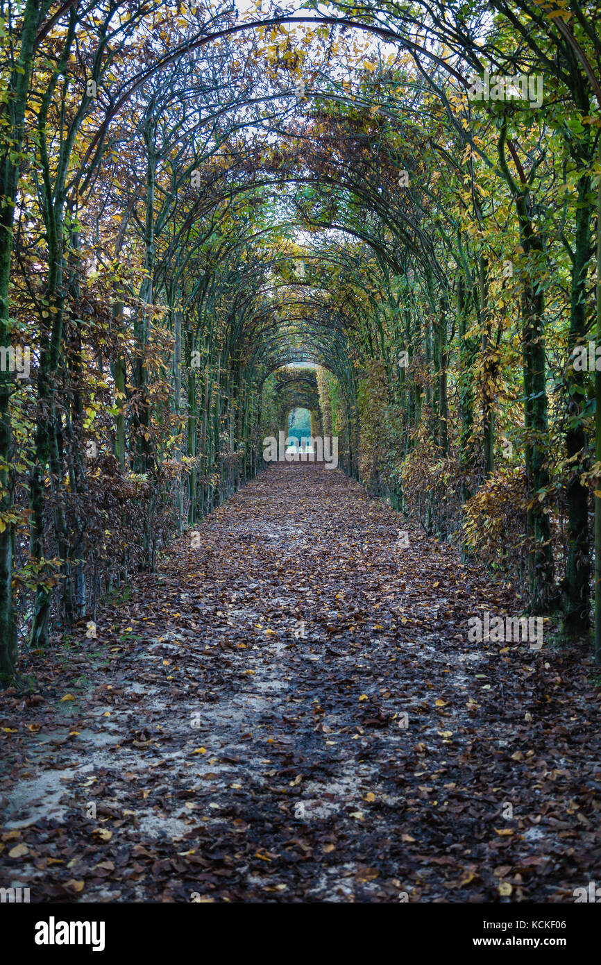Passage with Plants in Autumn and two people at the End of the Tunnel ...