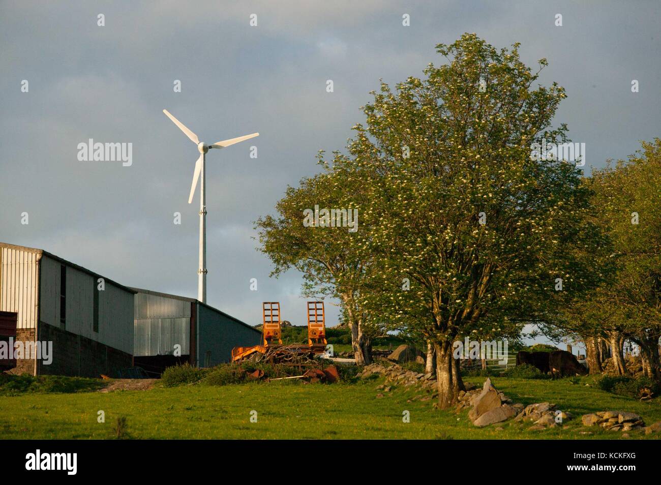 Small wind turbine in upland farm Stock Photo - Alamy