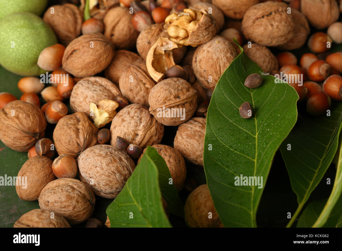Walnut background, food closeup Stock Photo - Alamy
