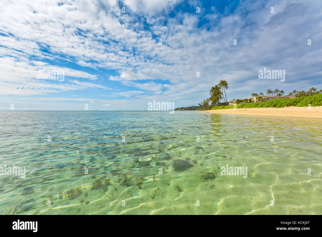 Seaside in Hawaii Stock Photo - Alamy