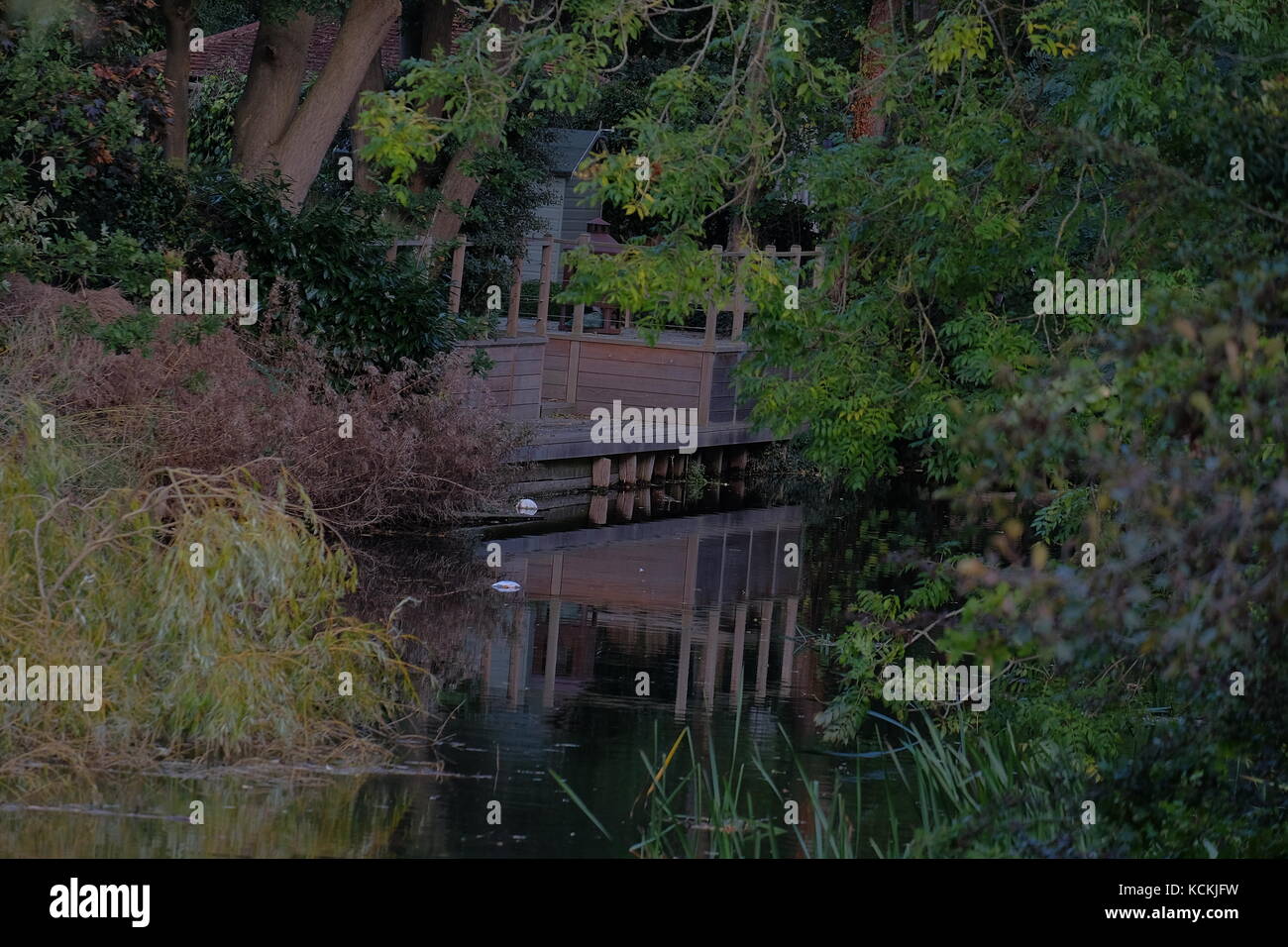 river mole autumn Stock Photo - Alamy