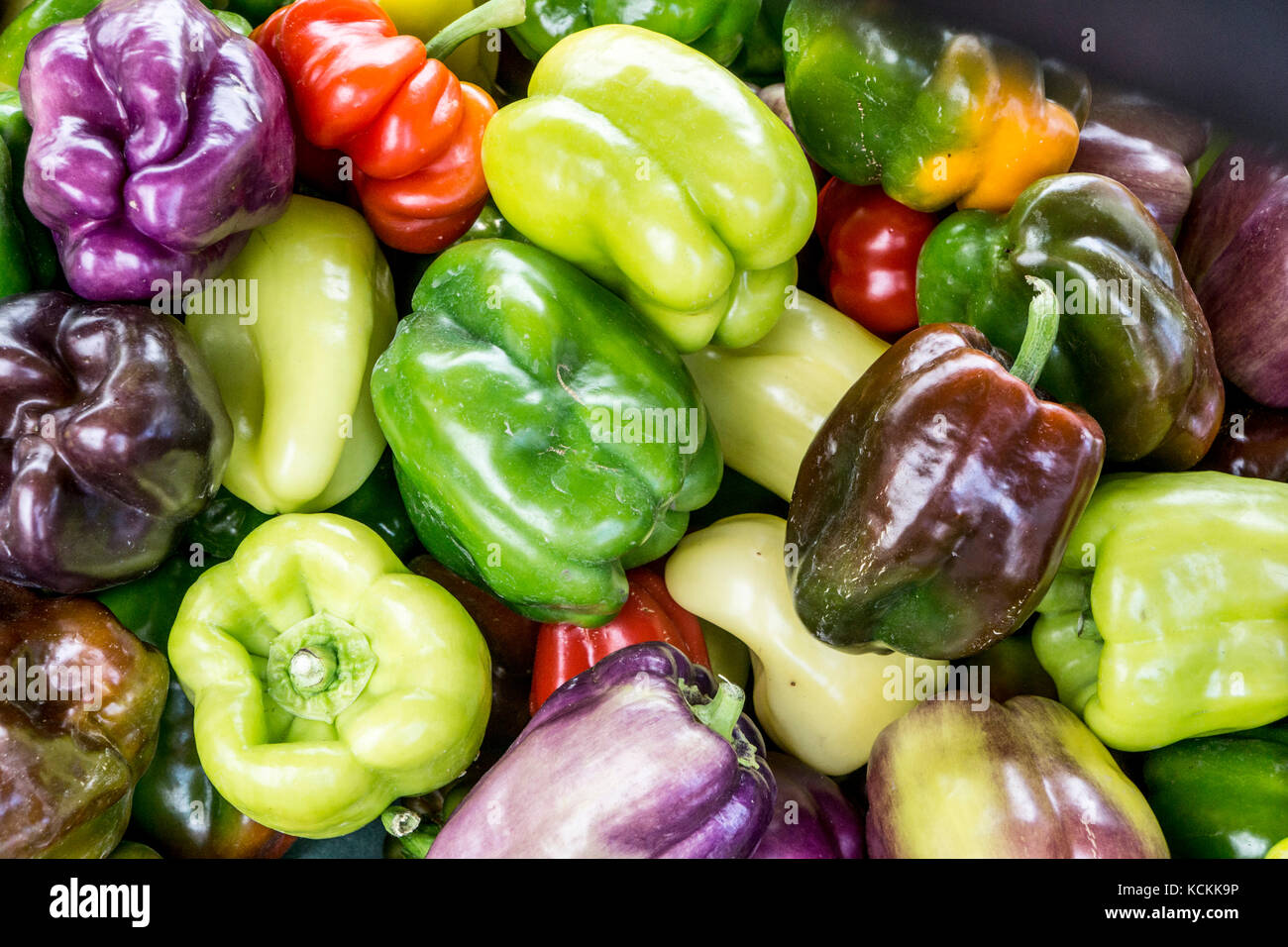 apparently artless display variety of fresh sweet bell peppers a ...