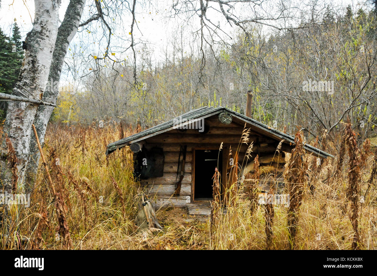 Datcha in the boreal forest - russian small log cabin for hunters Stock ...