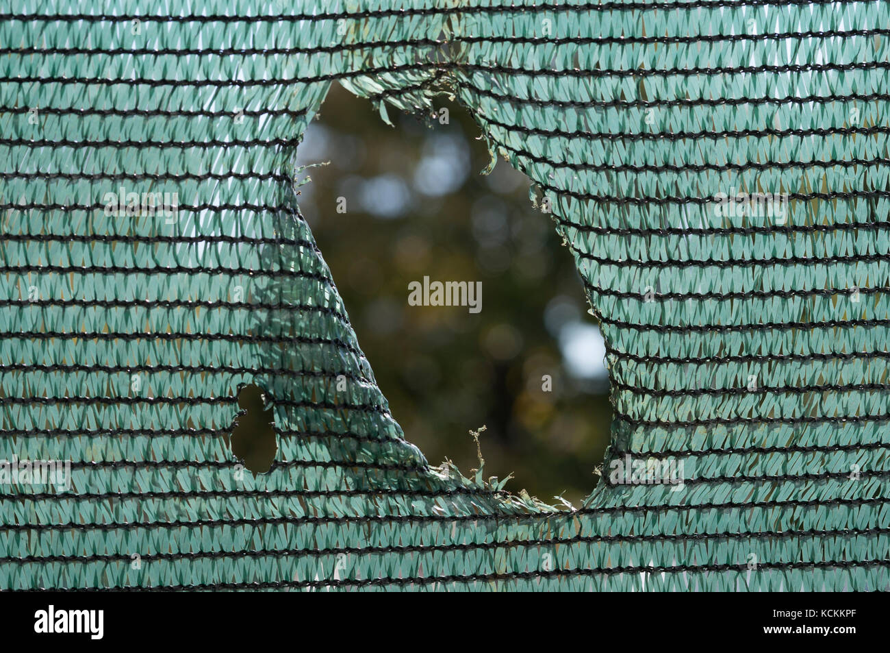 Hole in green plastic net Stock Photo - Alamy