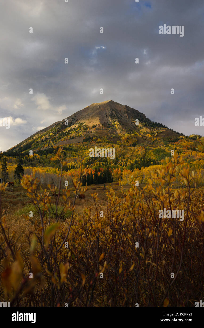 This is the picture of Crested Butte Mountain in Colorado in Autumn ...