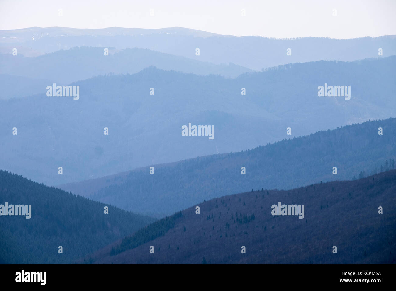 Group of mountain lovers hike the highest peak of Neamtului mountain ...