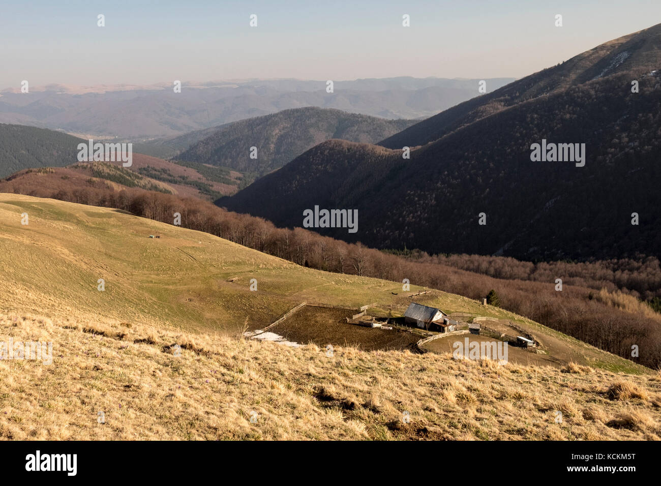 Group of mountain lovers hike the highest peak of Neamtului mountain ...