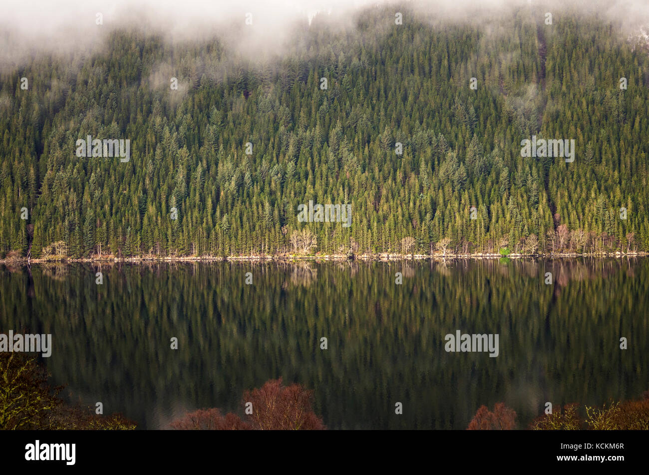 Low cloud on the banks of Loch Lochy in Great Glen, north of Fort ...