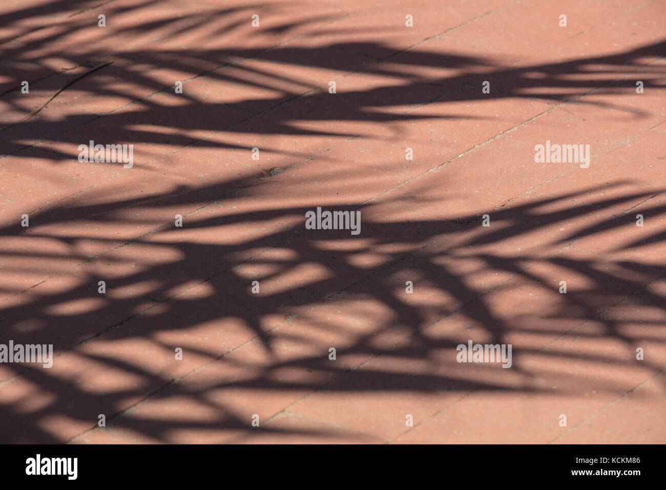 Pavers patio hi-res stock photography and images - Alamy