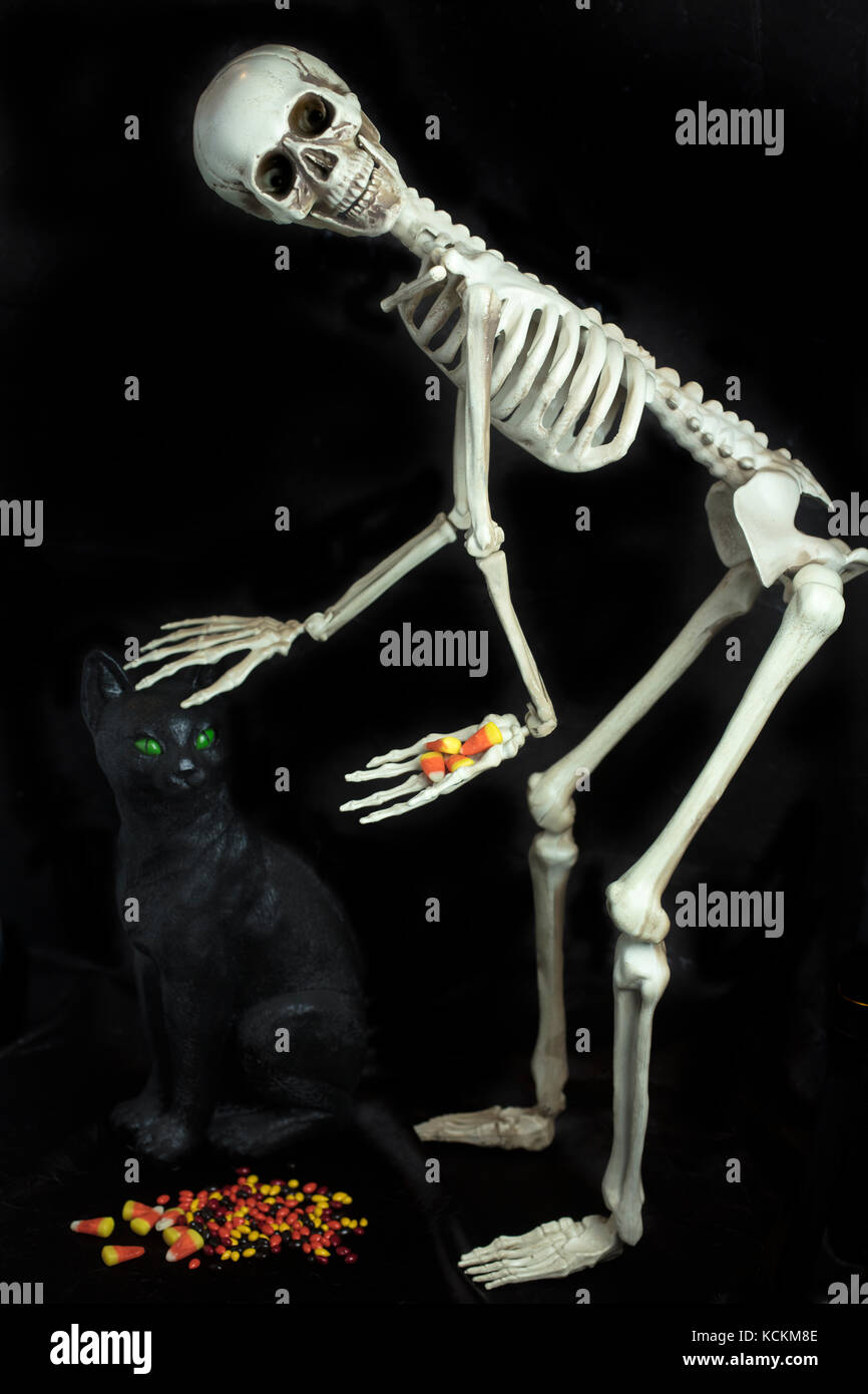 Skulls candies hi-res stock photography and images - Alamy