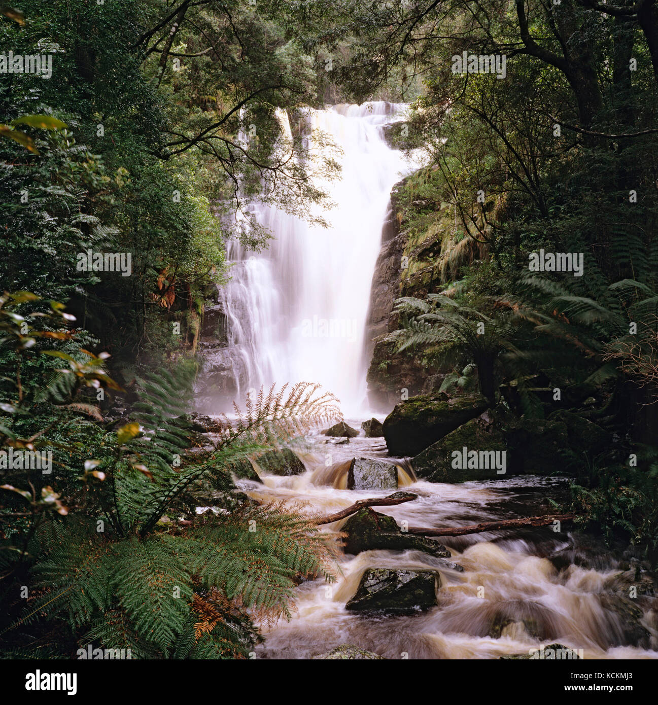 Mathinna Falls, first of the four cascades falling 80 m in all. Fingal ...