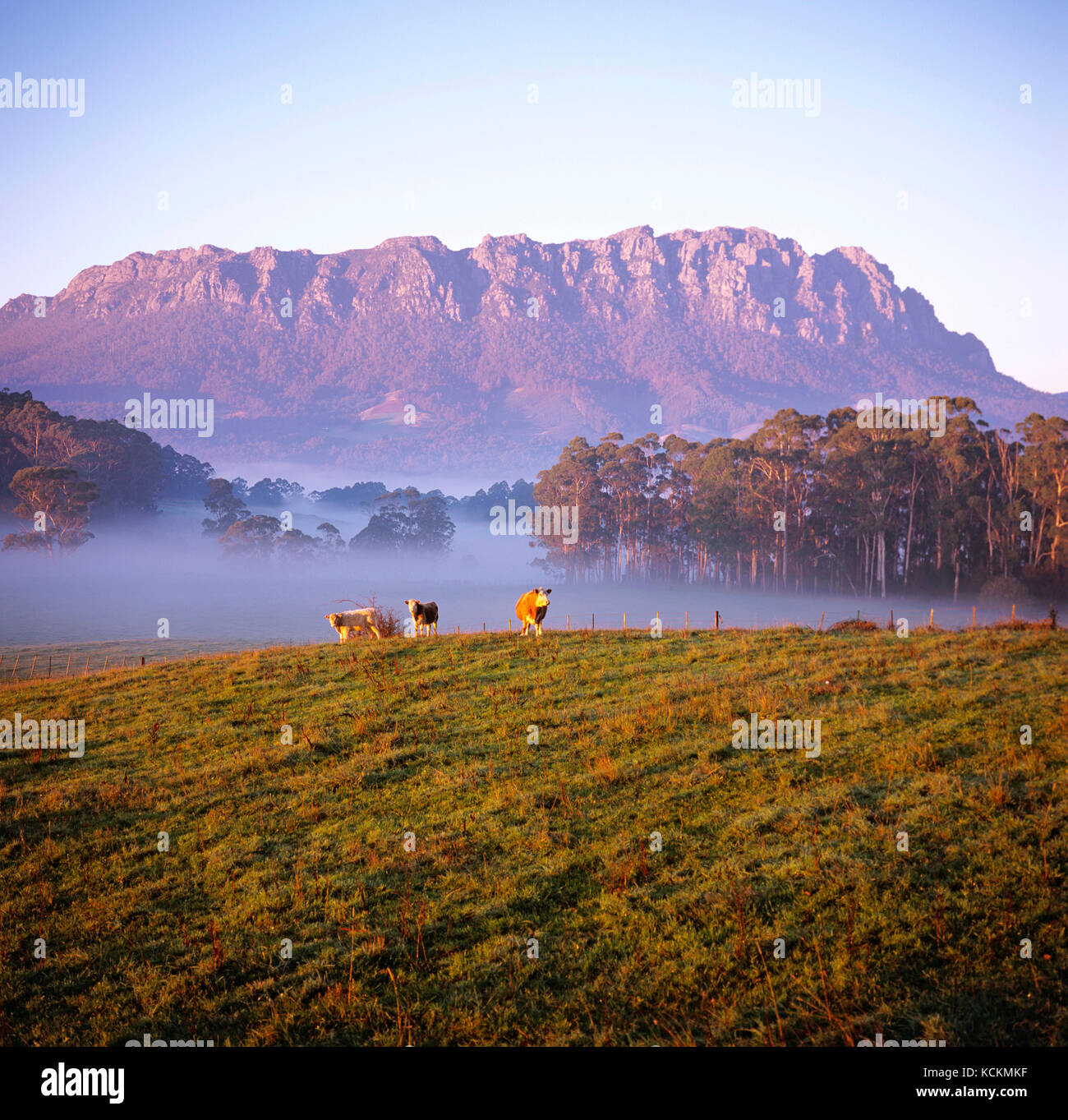 Mount roland tasmania hi-res stock photography and images - Alamy