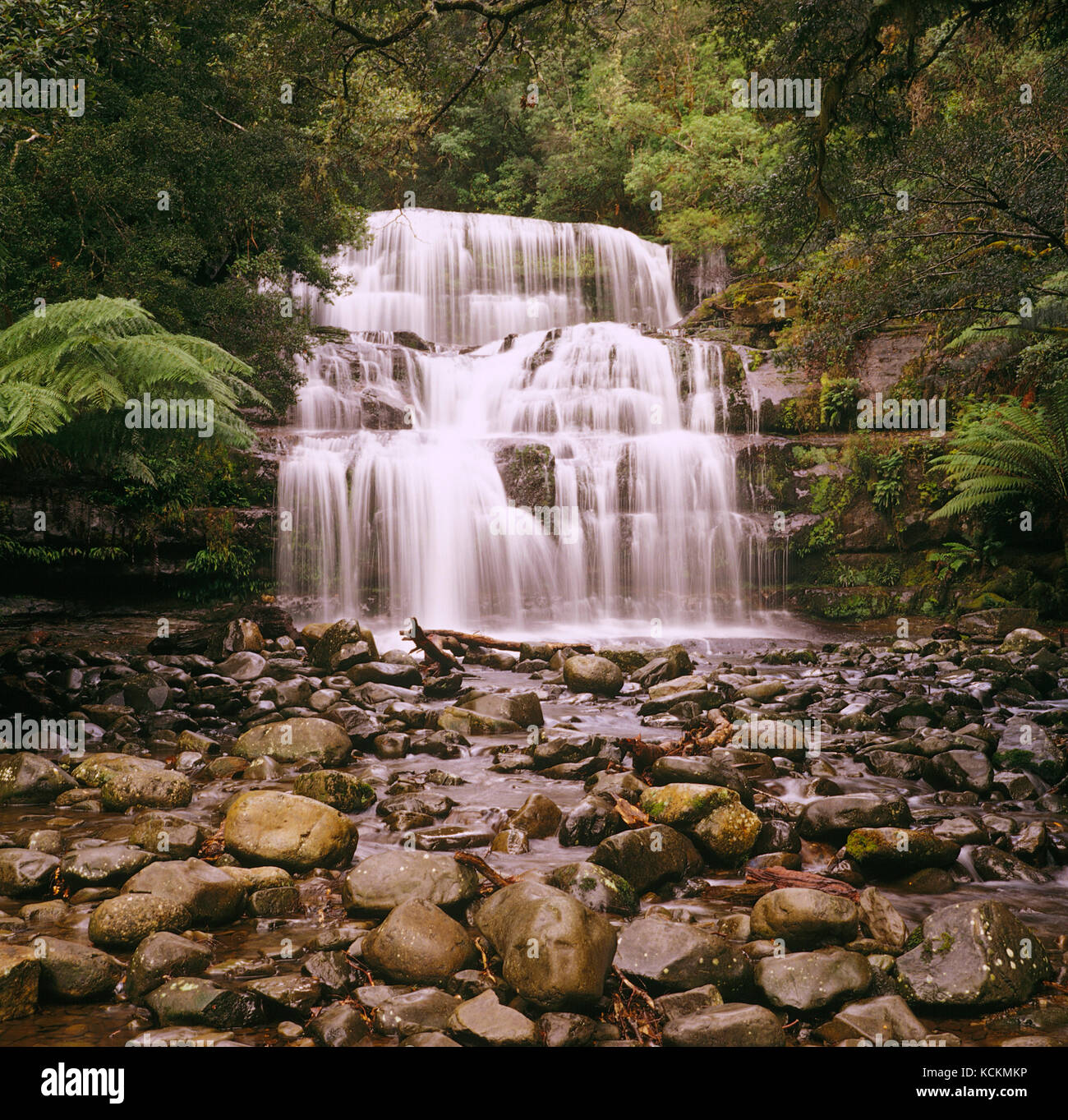 Liffey Falls, Liffey Falls State Reserve, Great Western Tiers, Tasmania ...