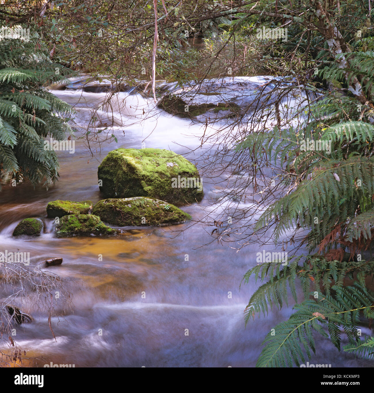 Ransom River, its water classed as pristine after being rehabilitated ...