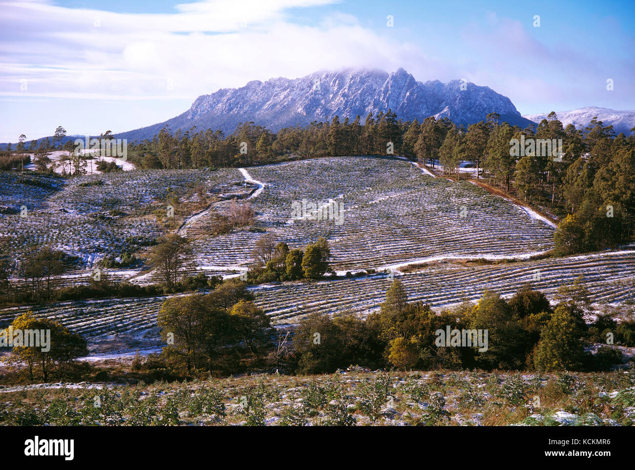 Farmland in winter, with Mount Roland beyond. Staverton, northwestern ...
