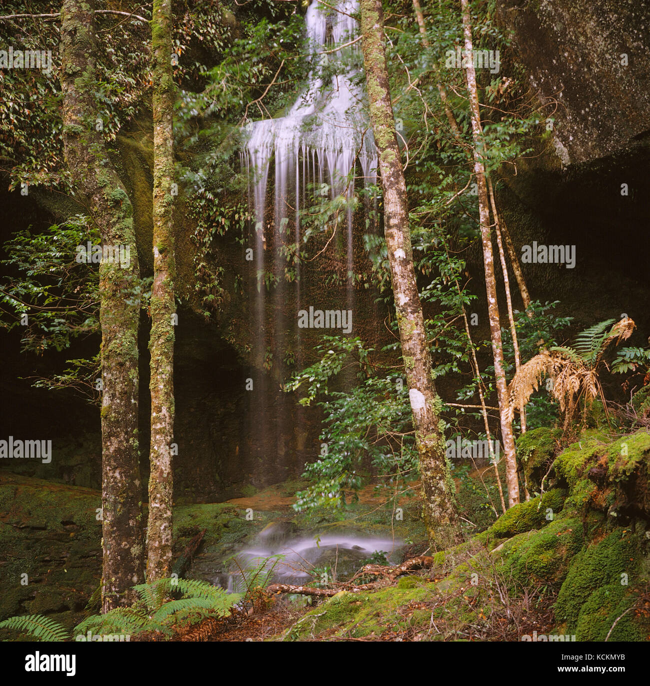 Small waterfall in the Meander River valley, Great Western Tiers ...