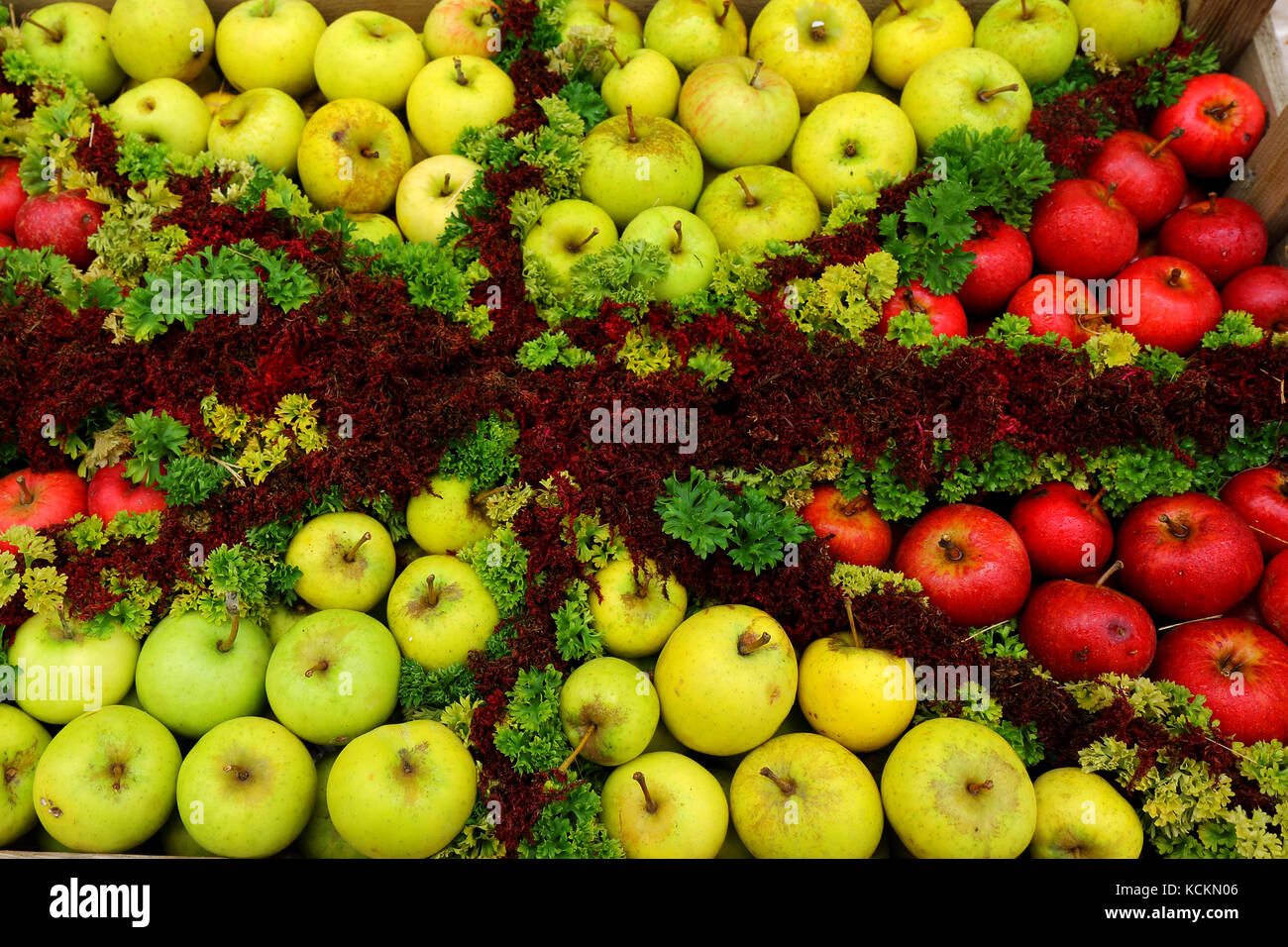 A box of apples on display Stock Photo - Alamy
