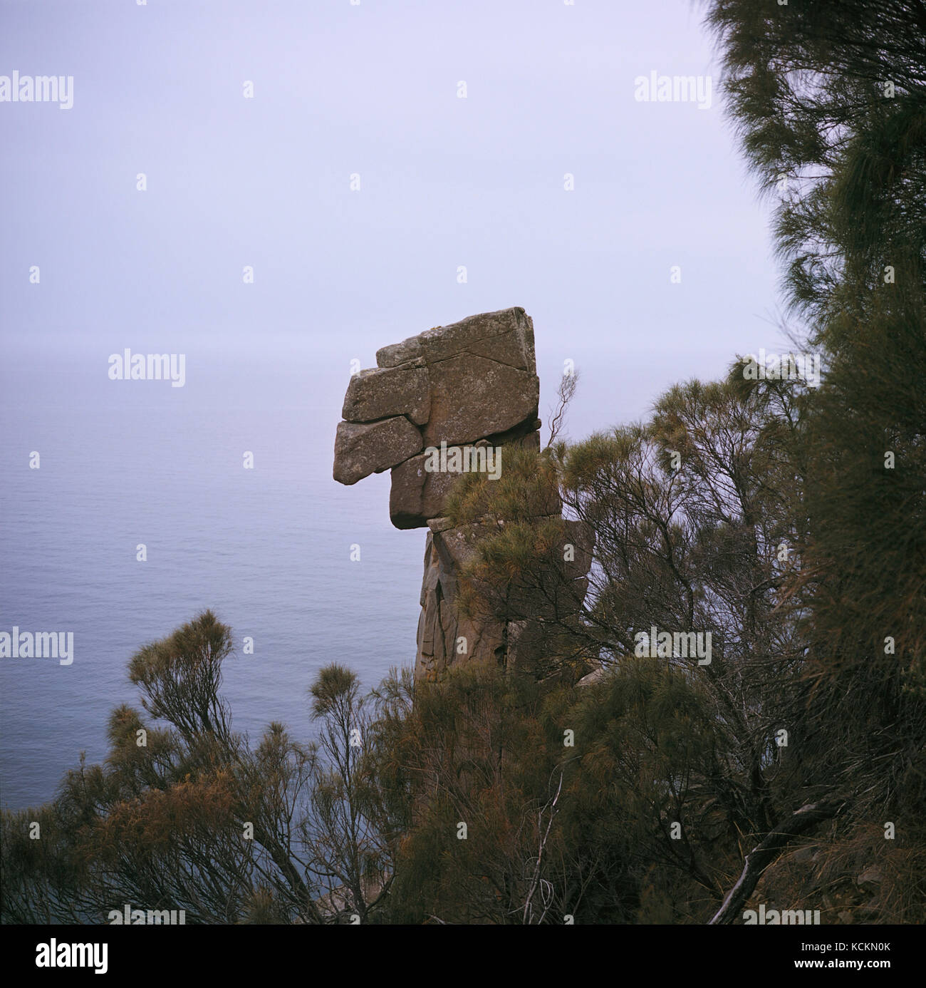 Fluted Cape, eroded dolerite column. South Bruny National Park, South ...
