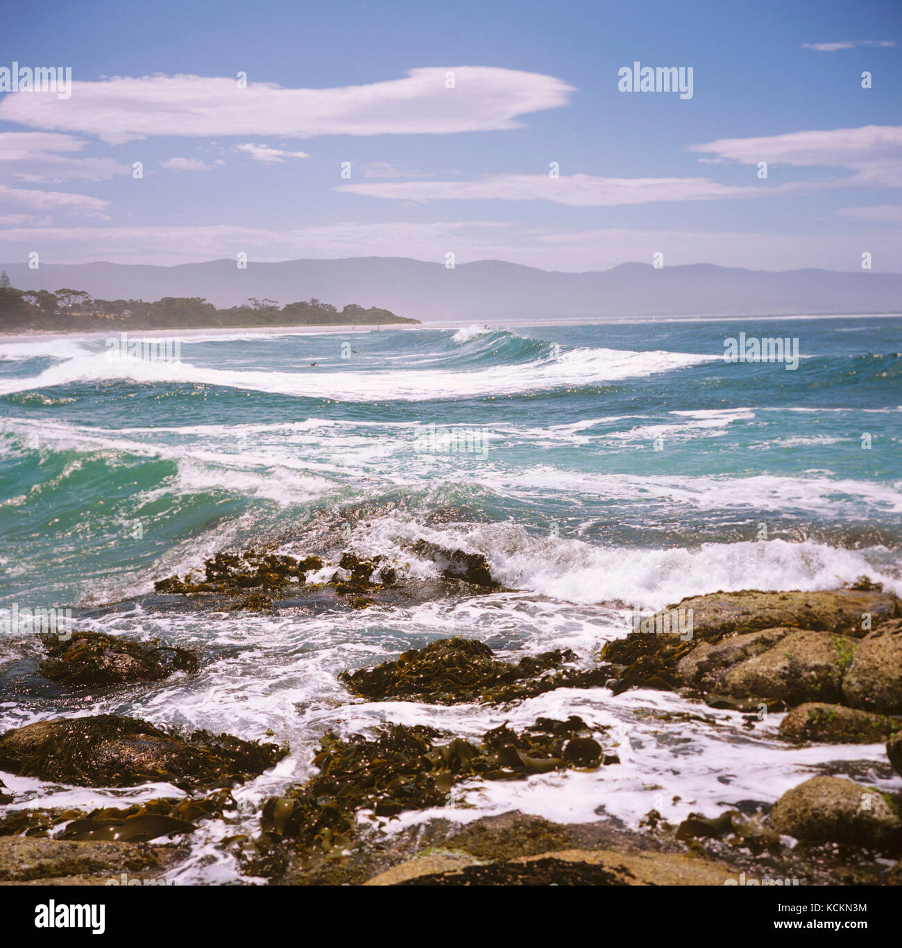 Redbill hi-res stock photography and images - Alamy