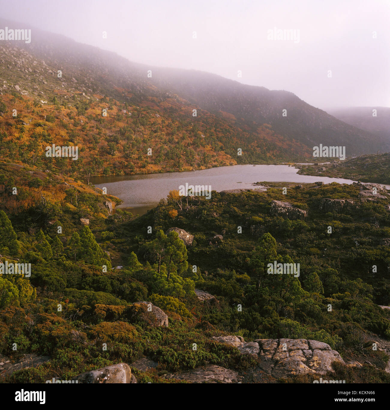 Alpine tarn on Tarn Shelf, Mount Field National Park, Southern Tasmania ...