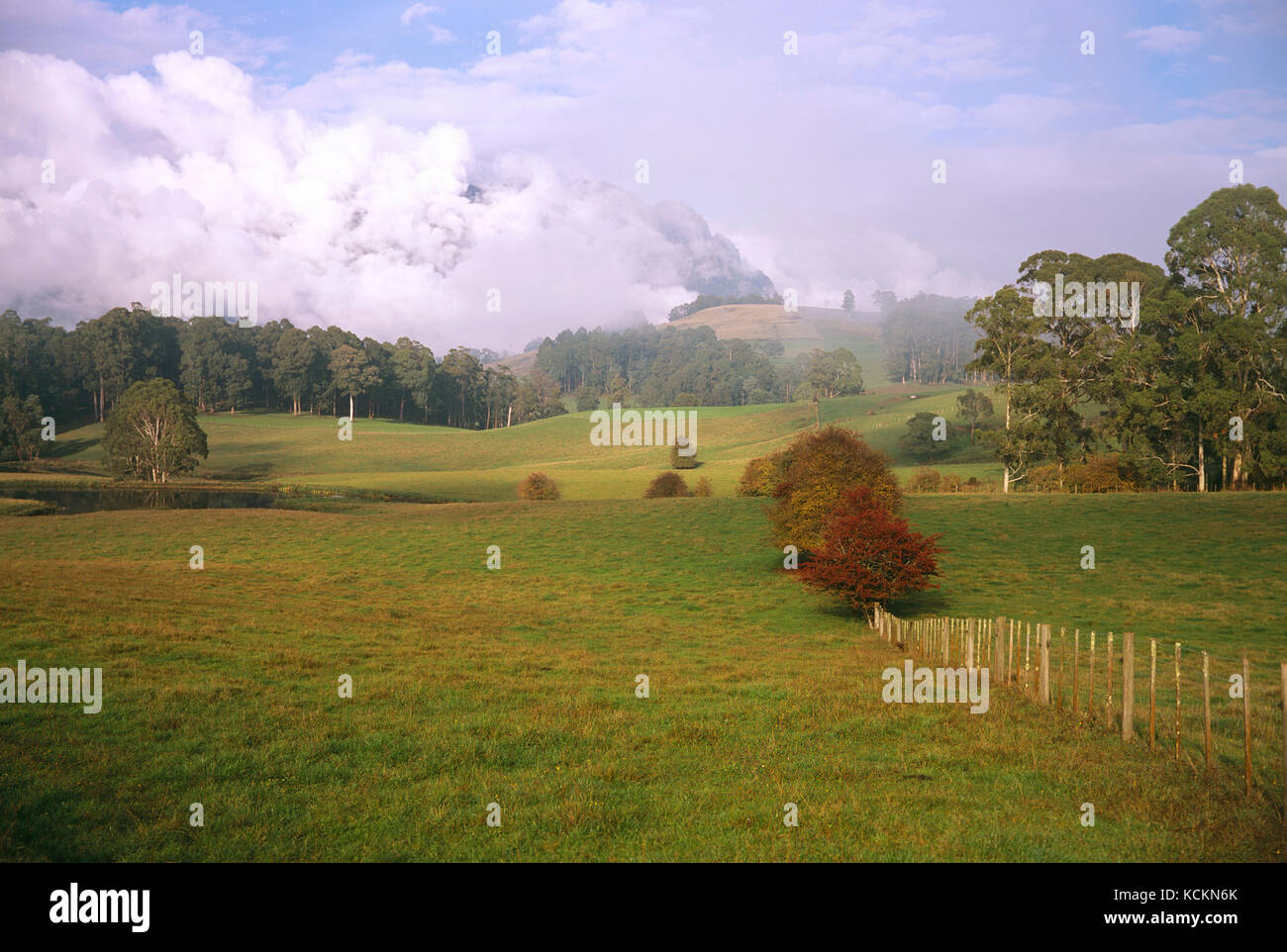 Mount Roland, with rising morning cloud. Near Sheffield, northwestern ...