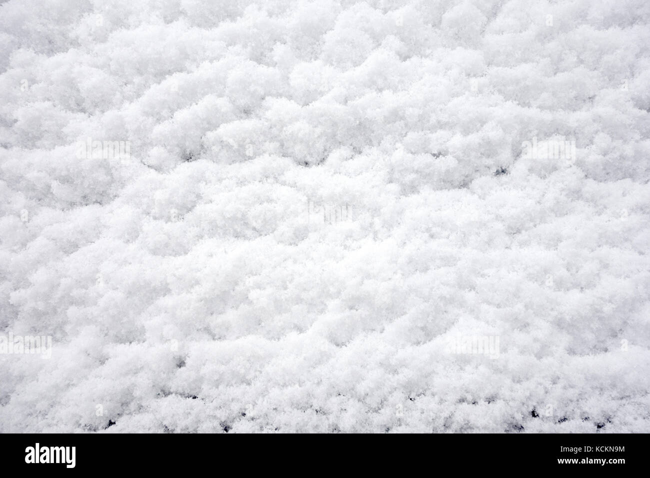 fresh snow background Stock Photo - Alamy