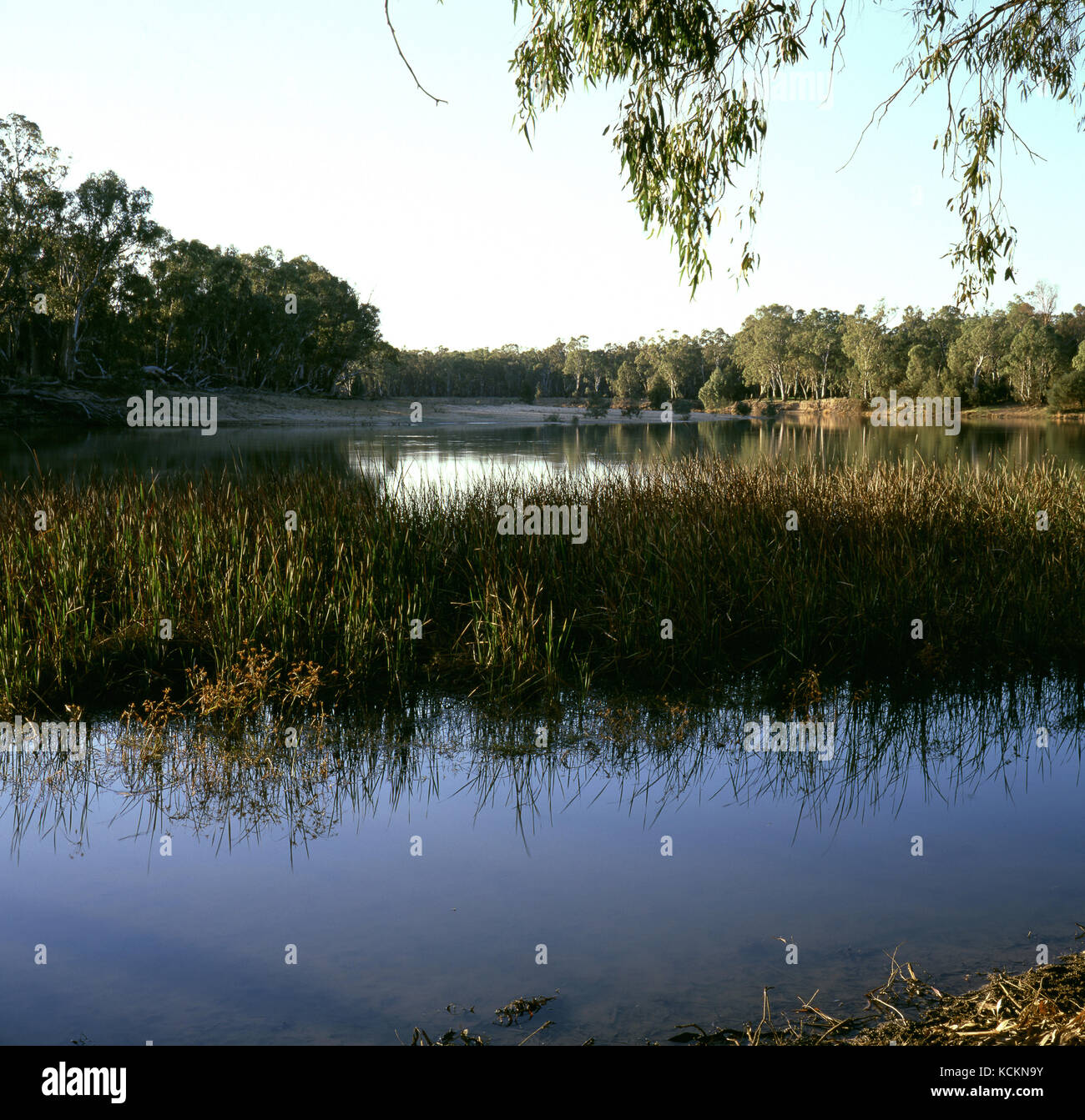 Murray River, Hattah-Kulkyne National Park, northwest Victoria ...
