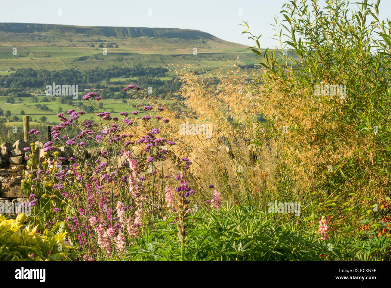 Garden border and view of countryside Stock Photo - Alamy