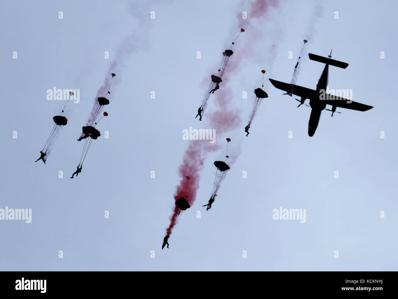 Military free fall hi-res stock photography and images - Alamy