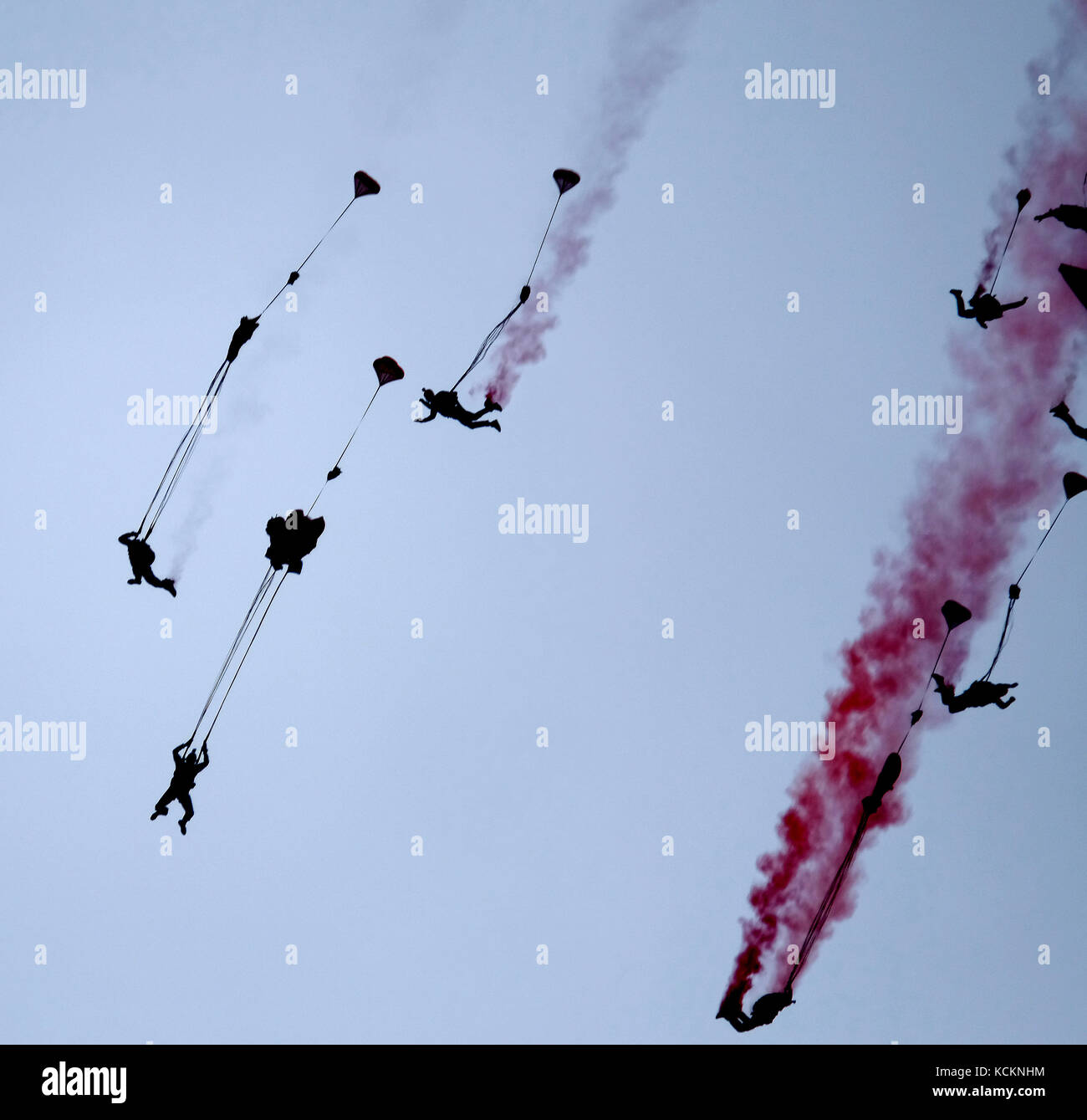 Military free fall hi-res stock photography and images - Alamy