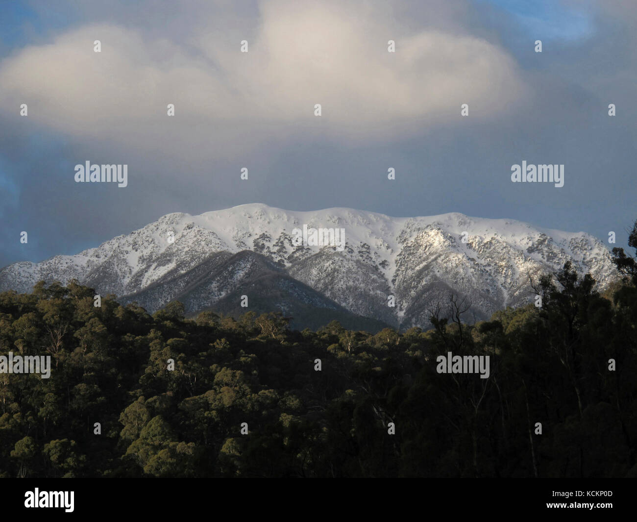 Mount Bogong, 1986 m, the State’s highest mountain. Alpine National ...