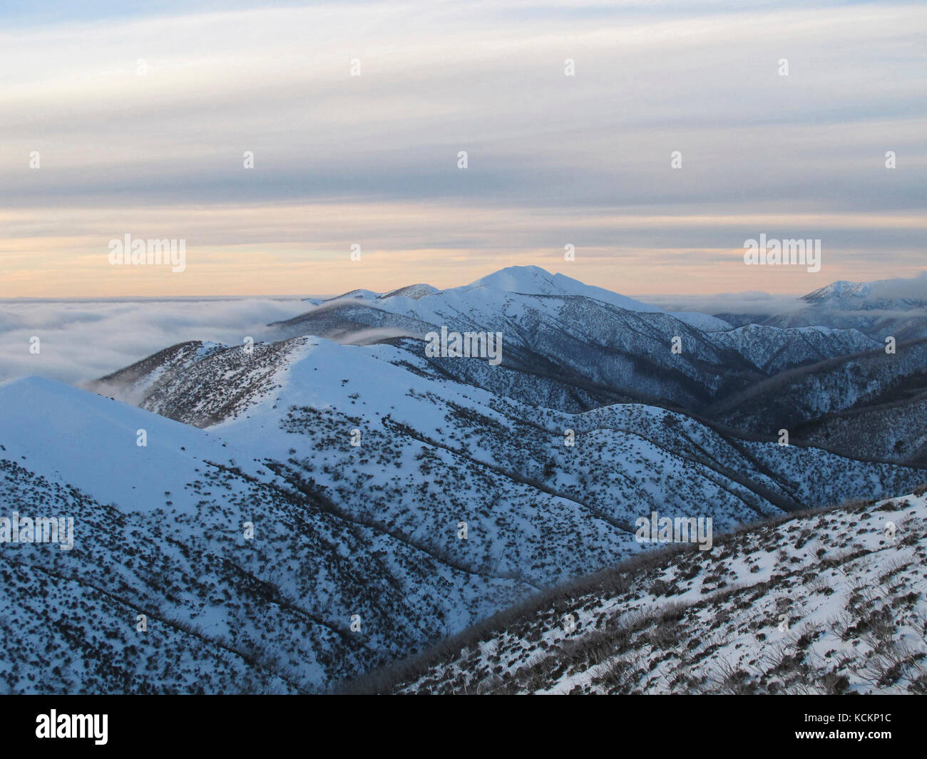 Mount Feathertop, 1922 m, second-highest mountain in the State. Alpine ...