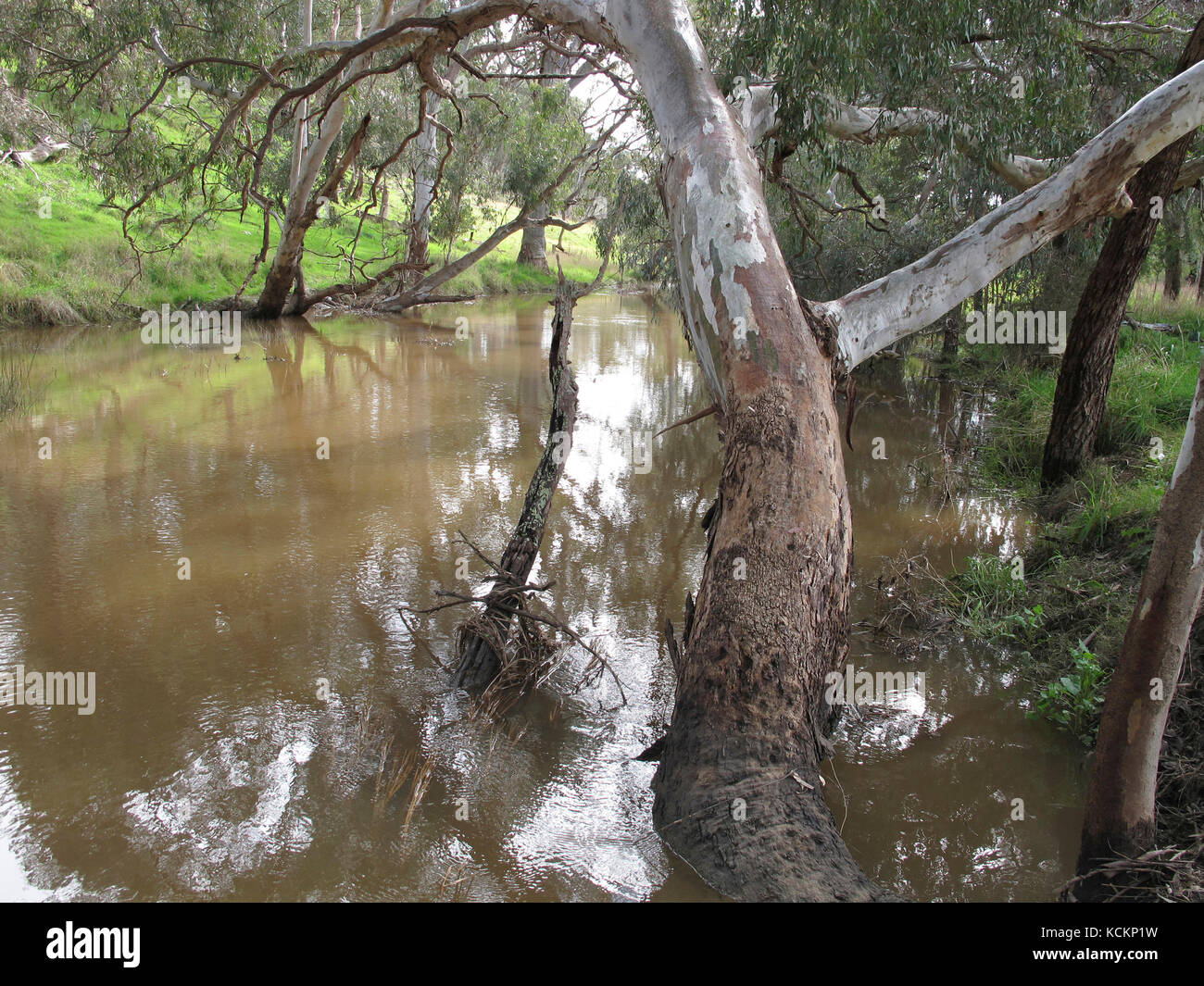 River cut off hi-res stock photography and images - Alamy