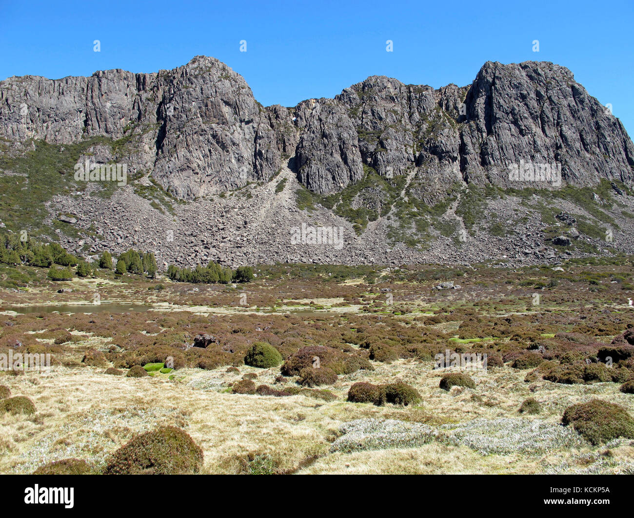 West Wall, dolerite tors, Walls of Jerusalem National Park, Tasmania ...