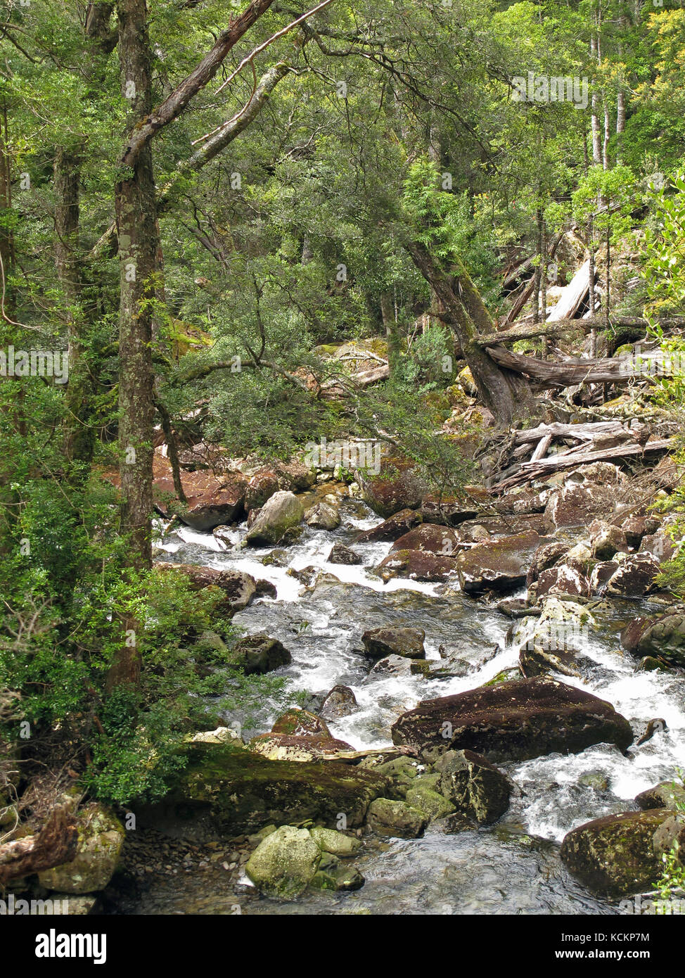 Meander River, Meander Forest Reserve, northern Tasmania, Australia ...