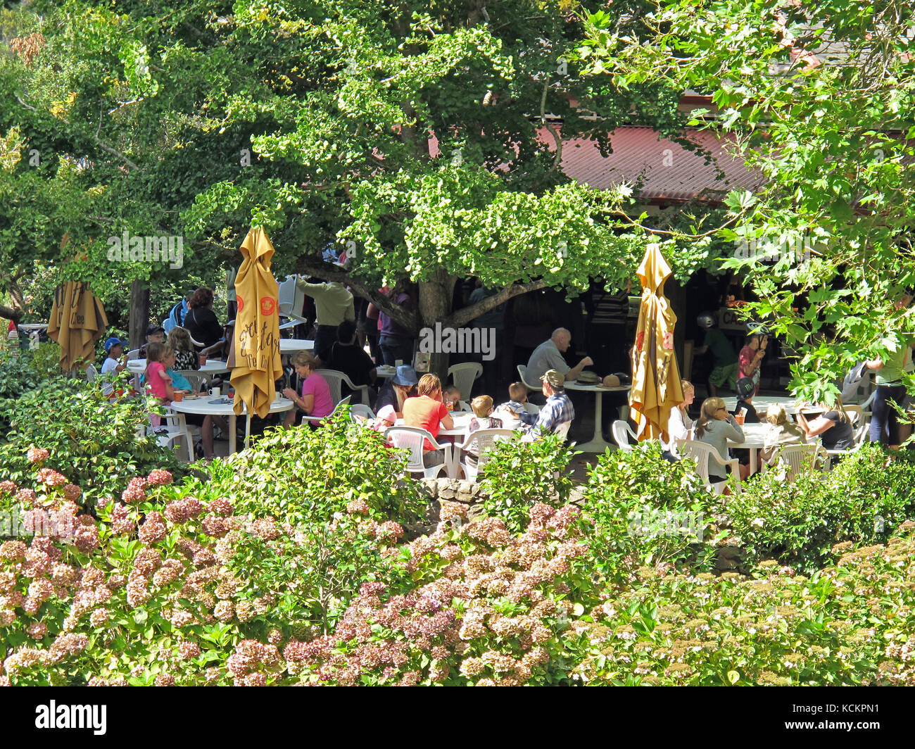 Cafe at Cataract Gorge, Launceston, Tasmania, Australia Stock Photo - Alamy