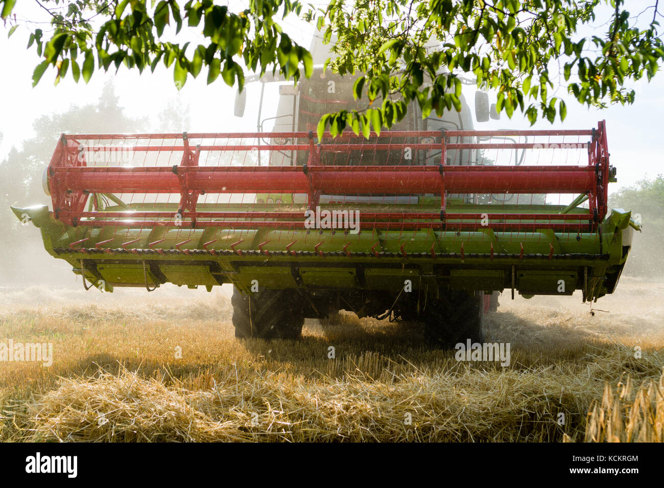 Red and green combine harvester hi-res stock photography and images - Alamy