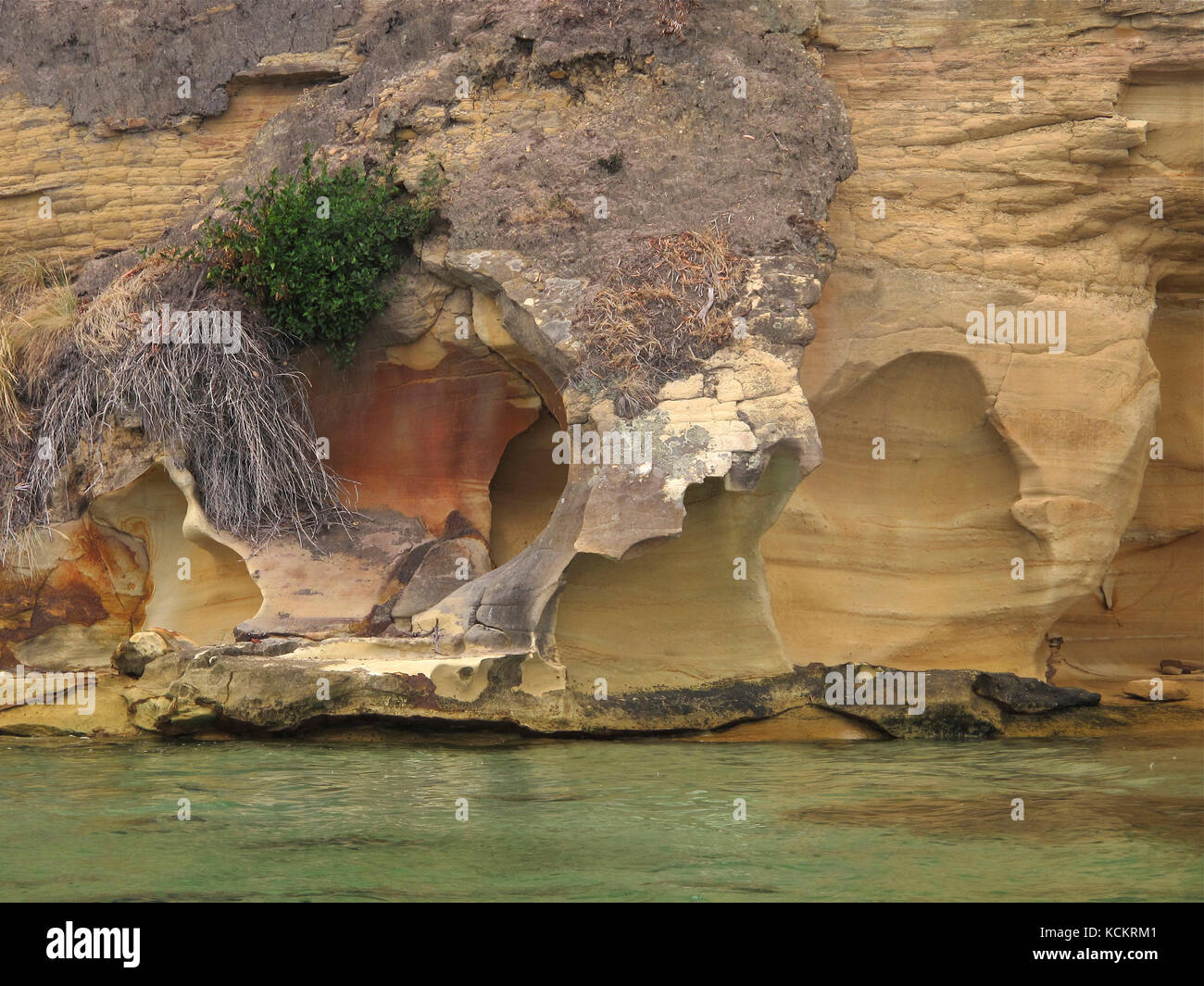 Sea cliffs of Triassic sandstone about 200 million years old. Green ...
