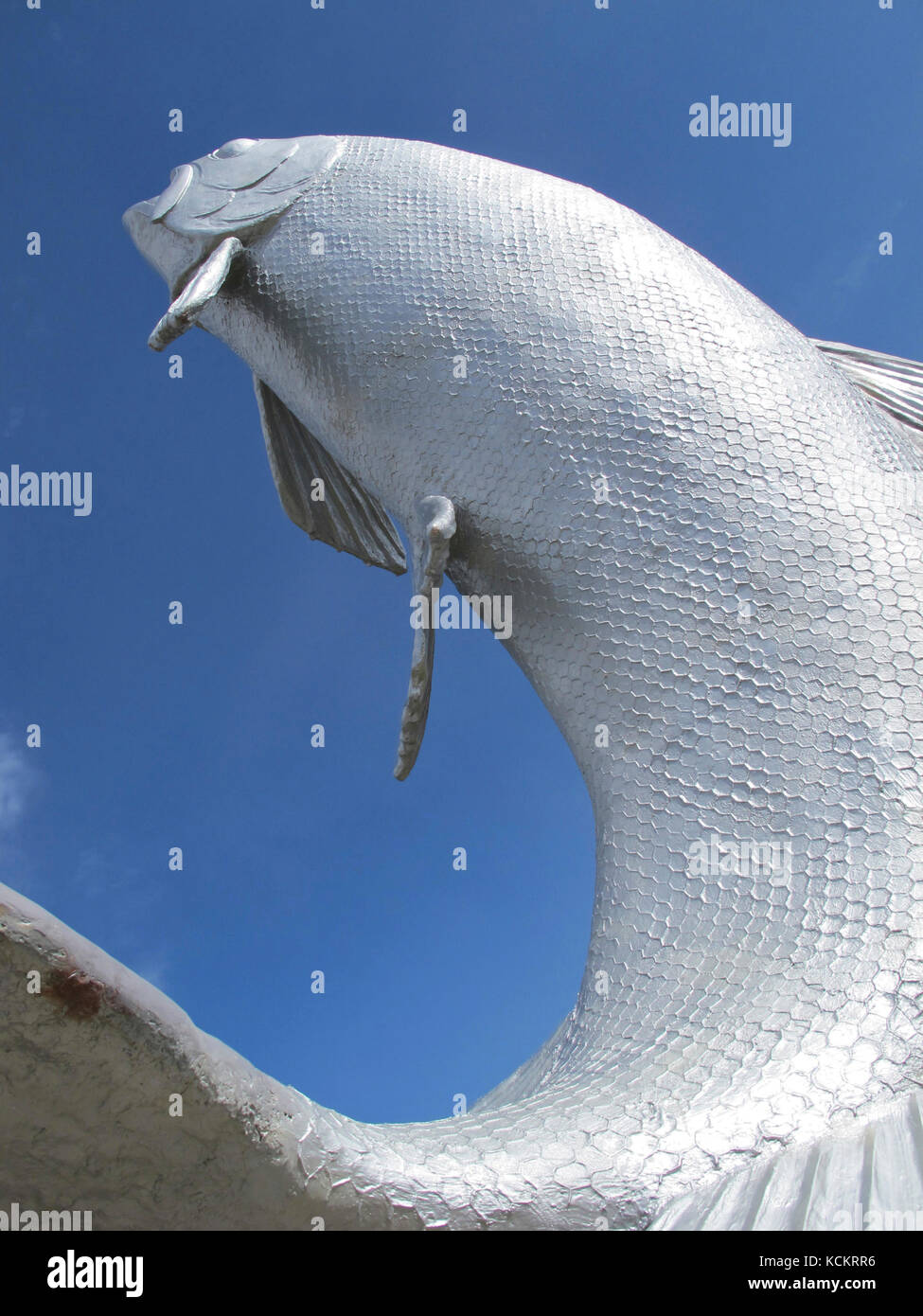 The Big Trout, fibreglass model 10 m tall. Adaminaby, originally a ...