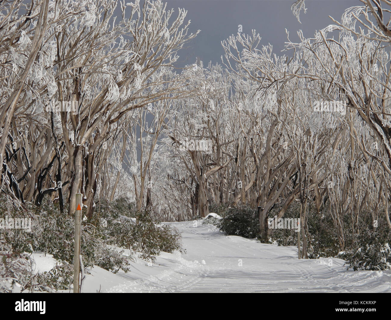 Yarra range hi-res stock photography and images - Alamy