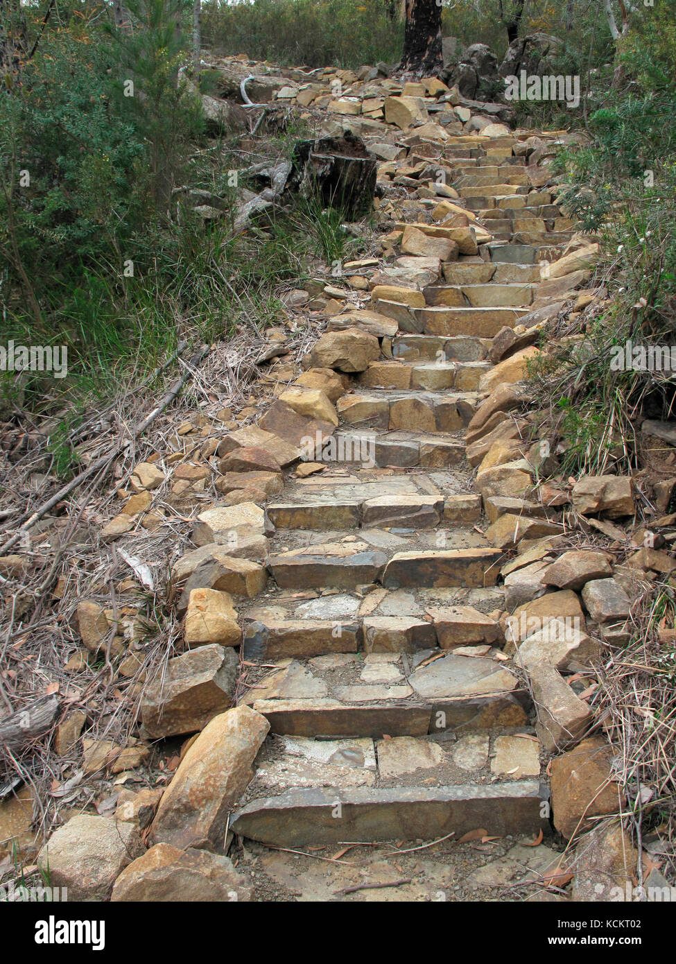 Luxury track construction: the Three Capes Track, that will be a six ...