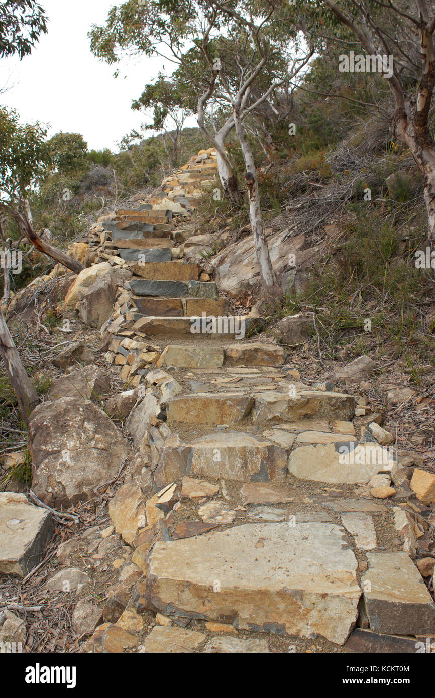 Luxury track construction: the Three Capes Track, that will be a six ...