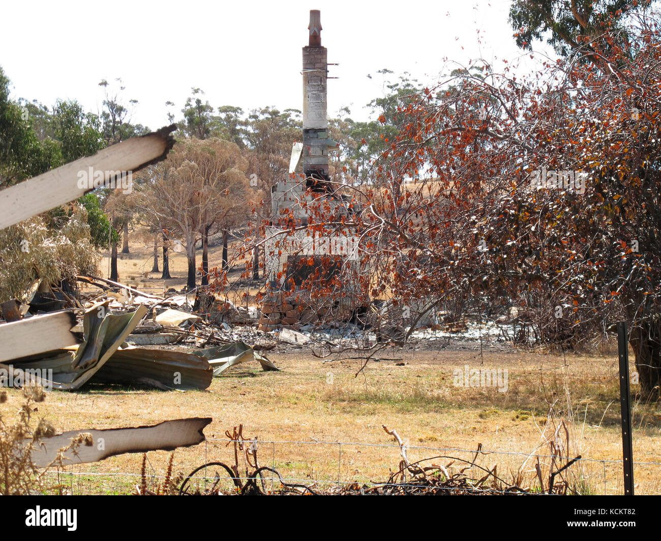 A fast-moving catastrophic bushfire on January 4, 2013, left some trees ...