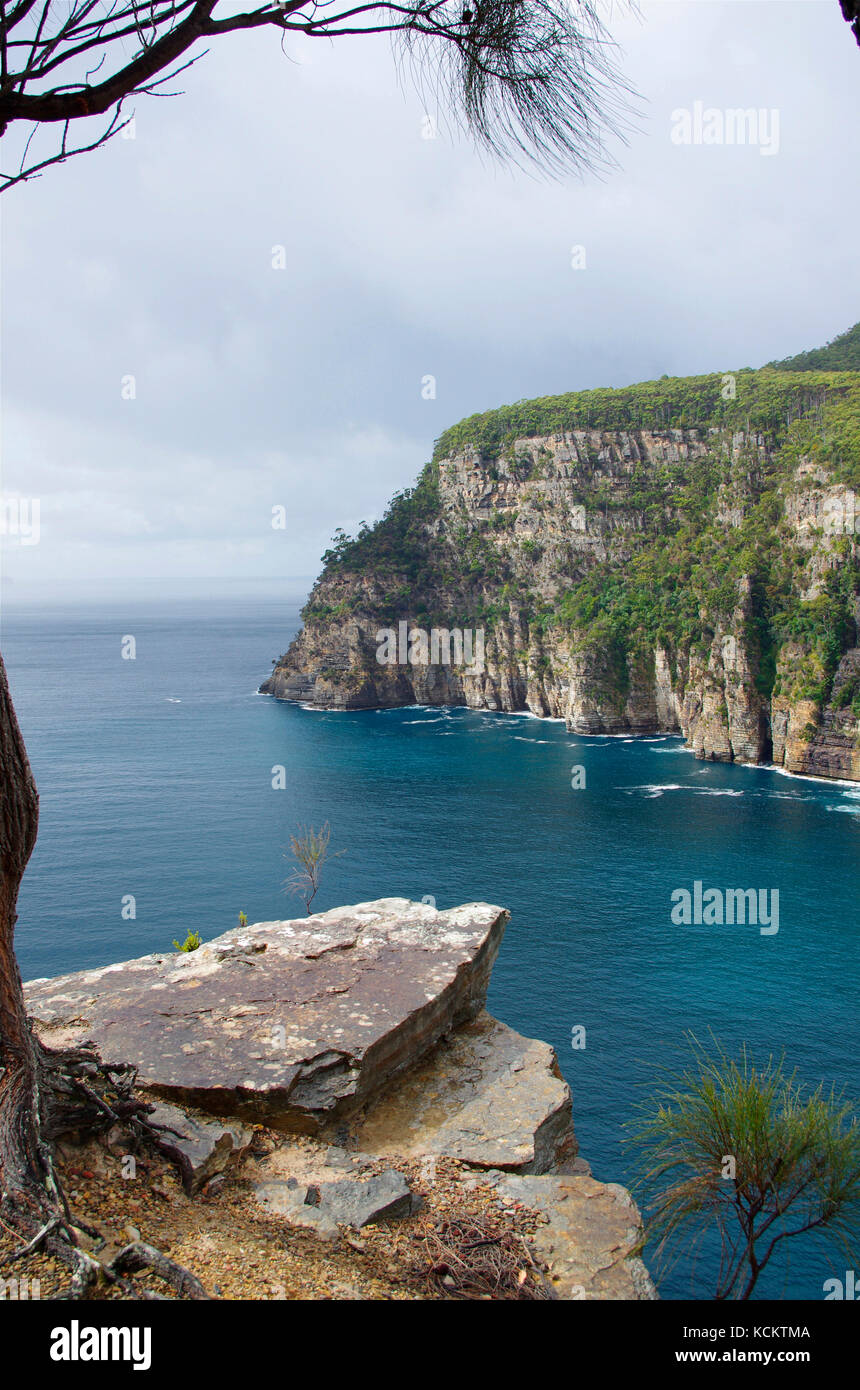 Sea cliffs at Waterfall Bay, in places 160 m high. Eaglehawk Neck ...